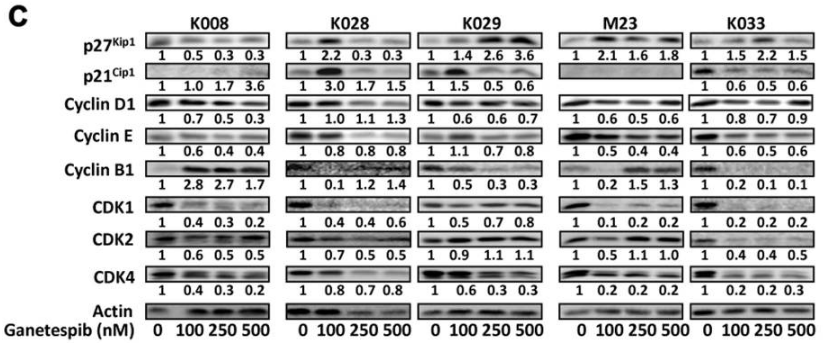 Ganetespib (STA-9090) HSP90 Inhibitor | Selleck Chemicals