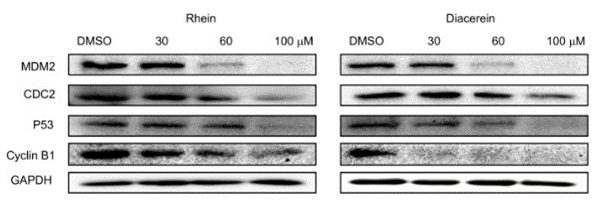 Diacerein | Interleukins inhibitor | 99.25%(HPLC) | In Stock