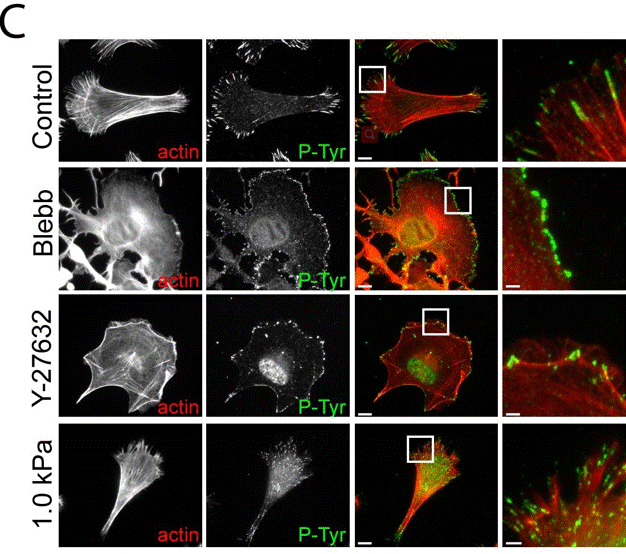 301 Moved Permanently