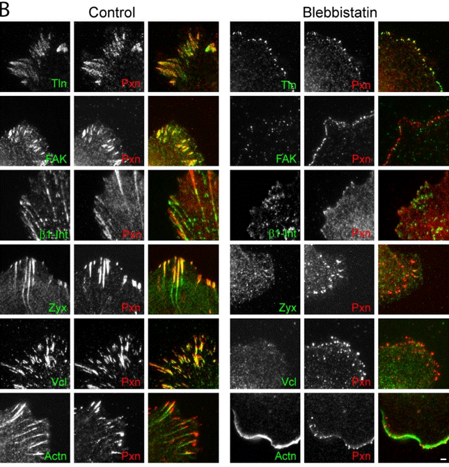 301 Moved Permanently