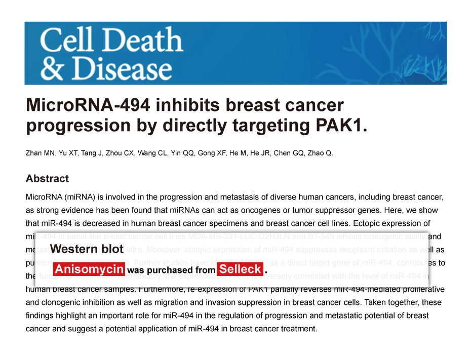 JNK Signaling Pathway