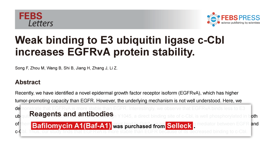 Bafilomycin A1 (Baf-A1) | ≥99%(HPLC) | Selleck | Proton Pump inhibitor