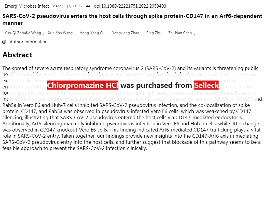 Potassium Channel | K Channel