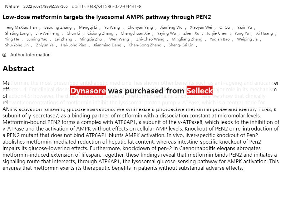 Dynamin | Dynamin Inhibitor Review