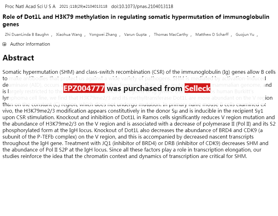 Histone Methyltransferase | Histone Methyltransferase Activity
