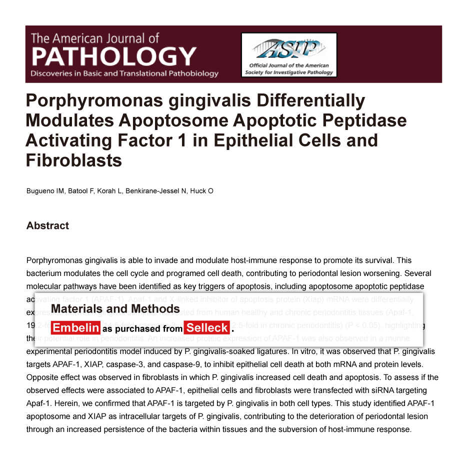 IAP | inhibitor of apoptosis protein