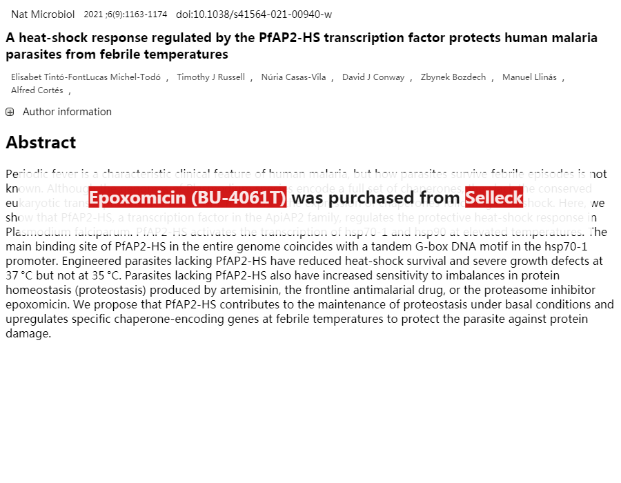 Proteasome Inhibition | Proteasome Inhibitor Review