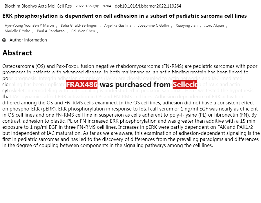 PAK Inhibition | p21 Activated Kinases | PAK Inhibitor Review