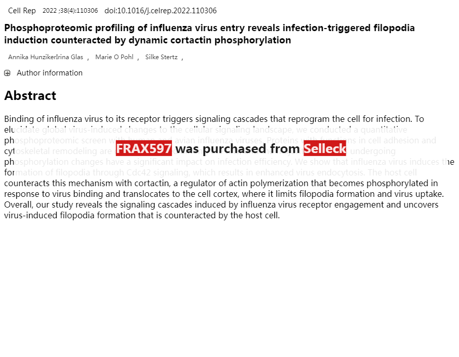 PAK Inhibition | p21 Activated Kinases | PAK Inhibitor Review