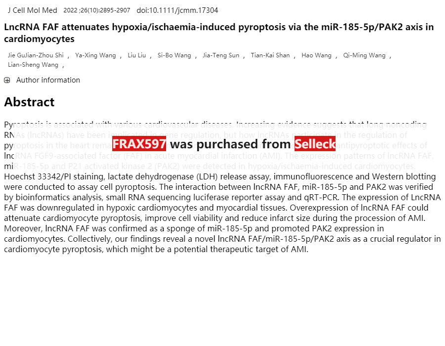 PAK Inhibition | p21 Activated Kinases | PAK Inhibitor Review