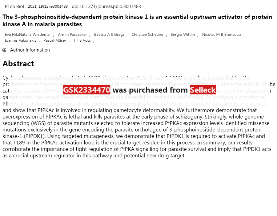 PDK Kinase | PDK Inhibitor Review