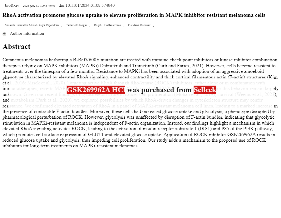 ROCK inhibitors | stem cell | ipsc | function | organoids