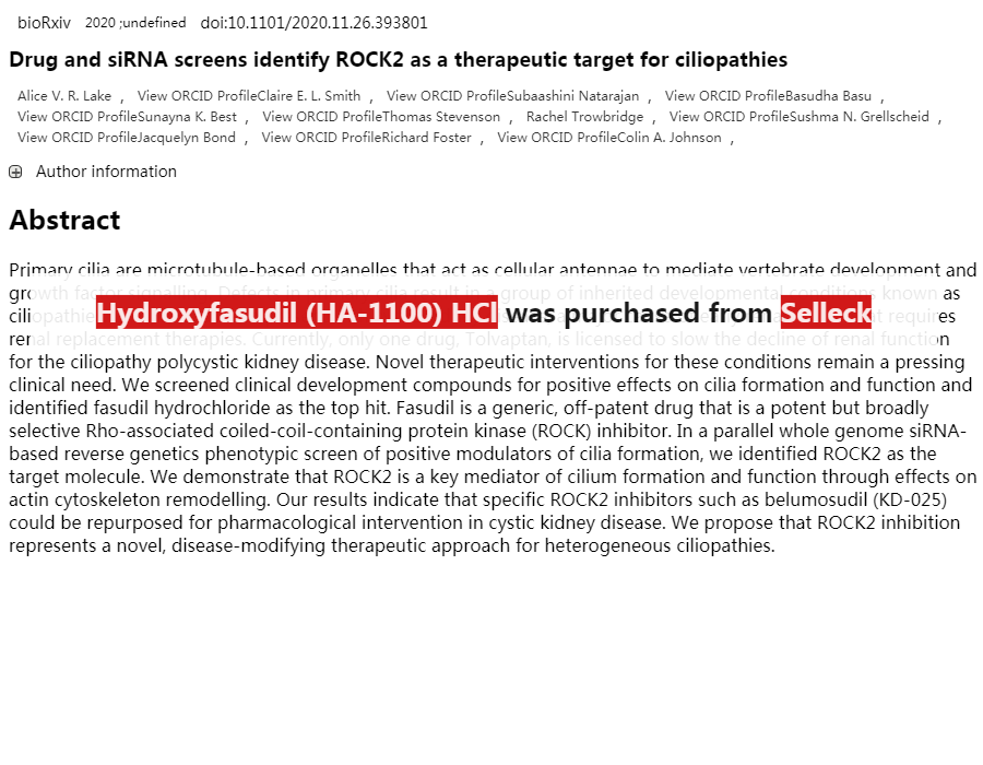 ROCK inhibitors | stem cell | ipsc | function | organoids