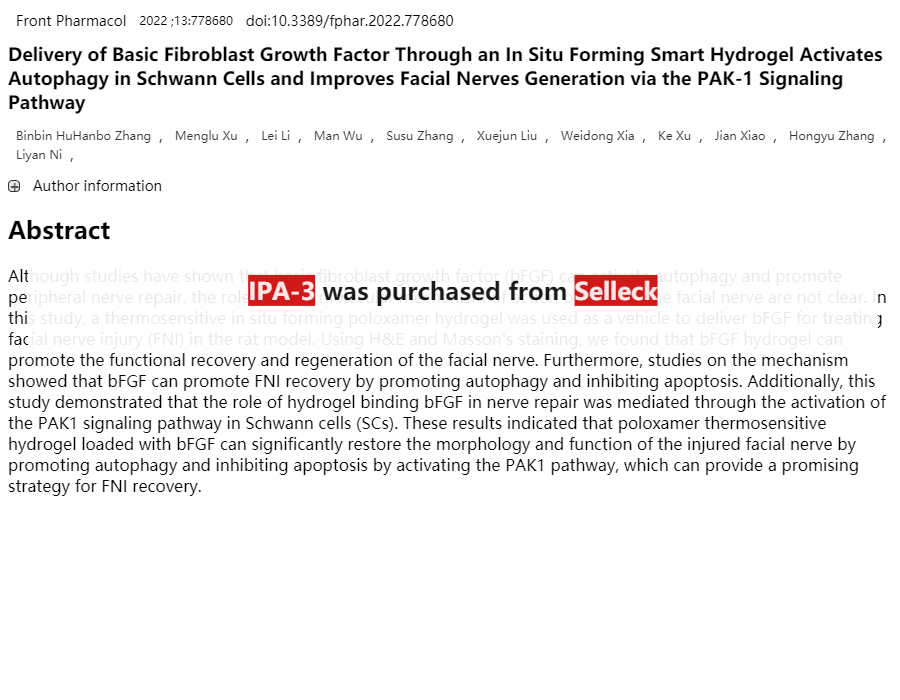 PAK Inhibition | p21 Activated Kinases | PAK Inhibitor Review