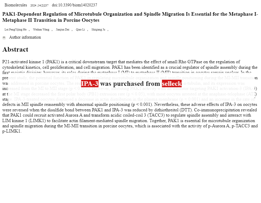 PAK Inhibition | p21 Activated Kinases | PAK Inhibitor Review