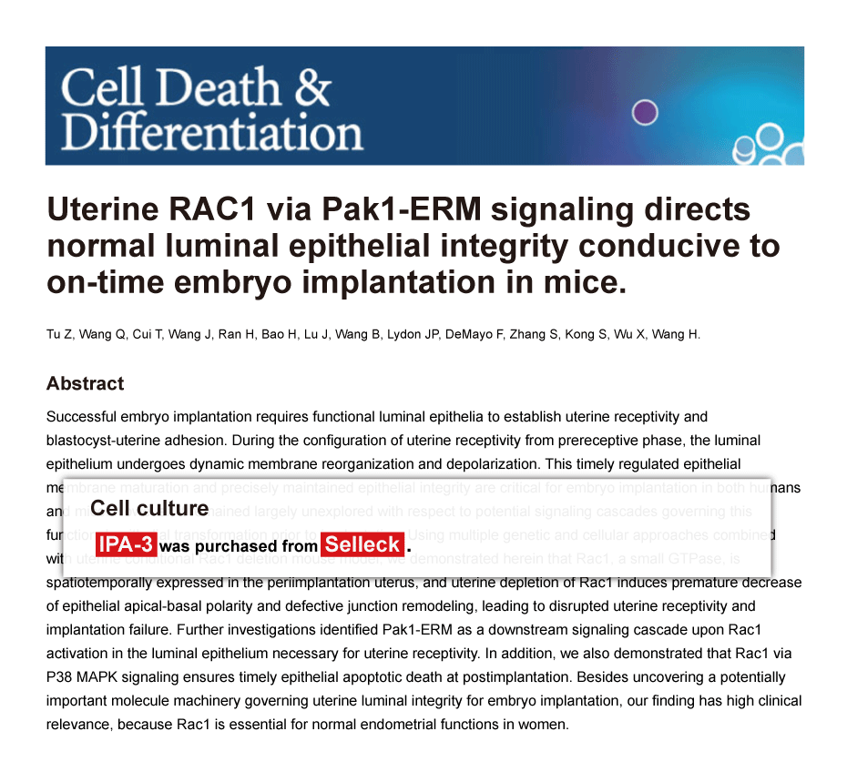 PAK Inhibition | p21 Activated Kinases | PAK Inhibitor Review