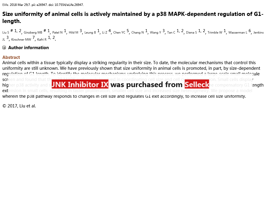 JNK Signaling Pathway