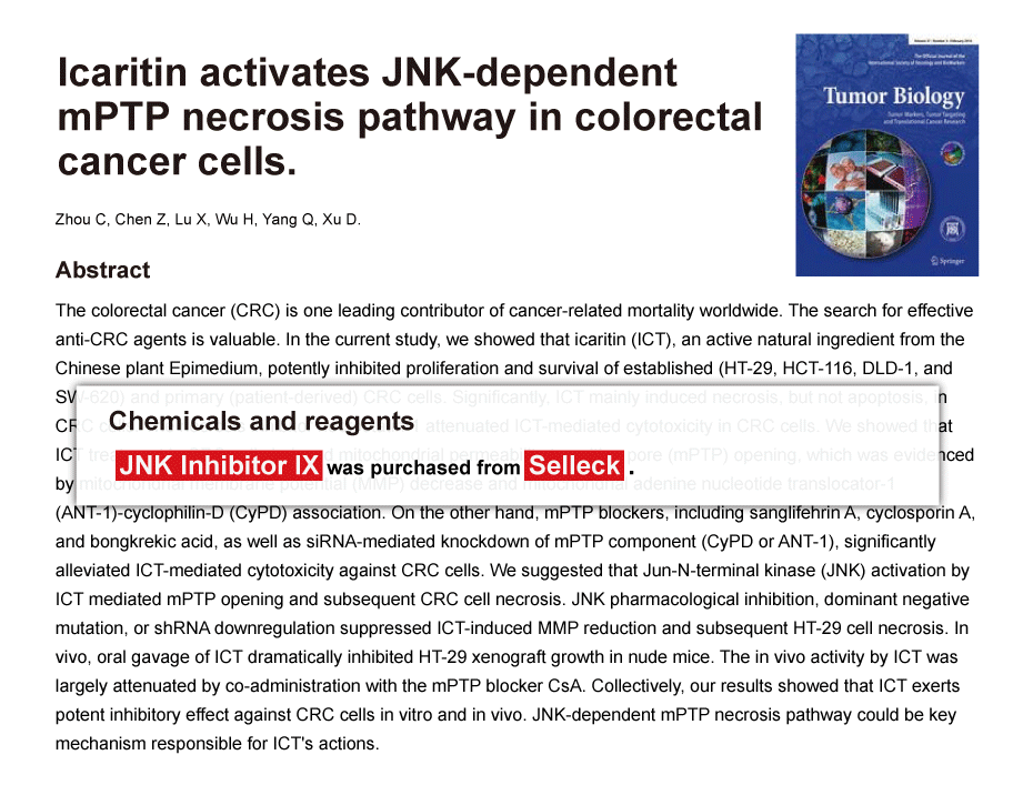 JNK Signaling Pathway