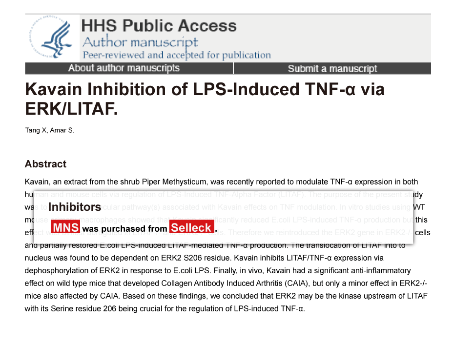 p97 | p97 Inhibitor Review