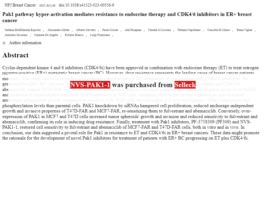PAK Inhibition | p21 Activated Kinases | PAK Inhibitor Review