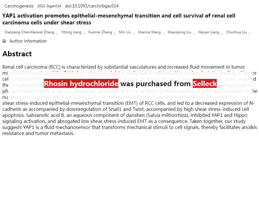 Rho Signaling | Rho family of GTPases