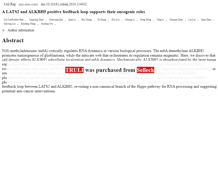 YAP antagonist | YAP inhibitor | YAP agonist | YAP activator