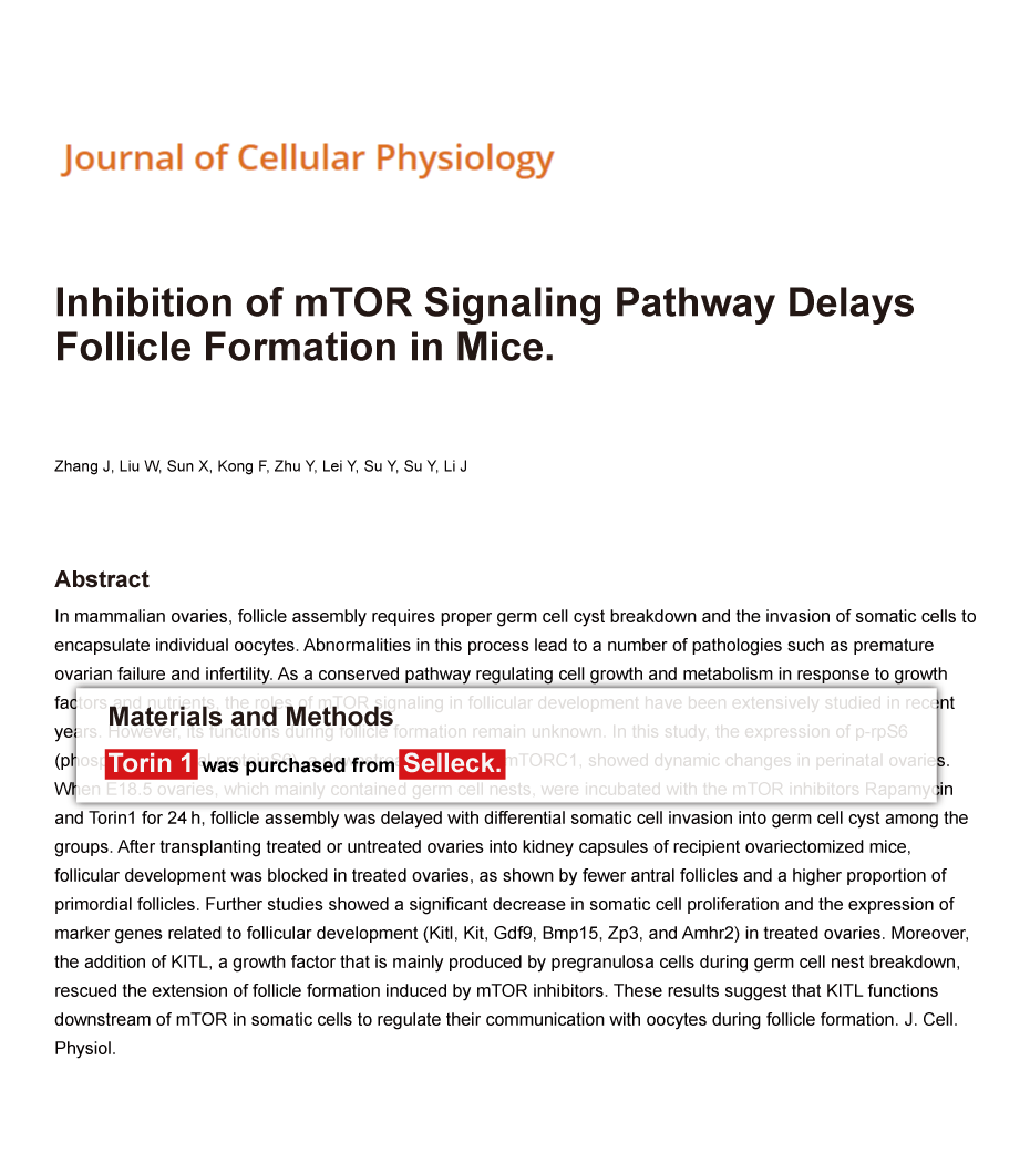Torin 1 | ≥99%(HPLC) | Selleck | mTOR inhibitor
