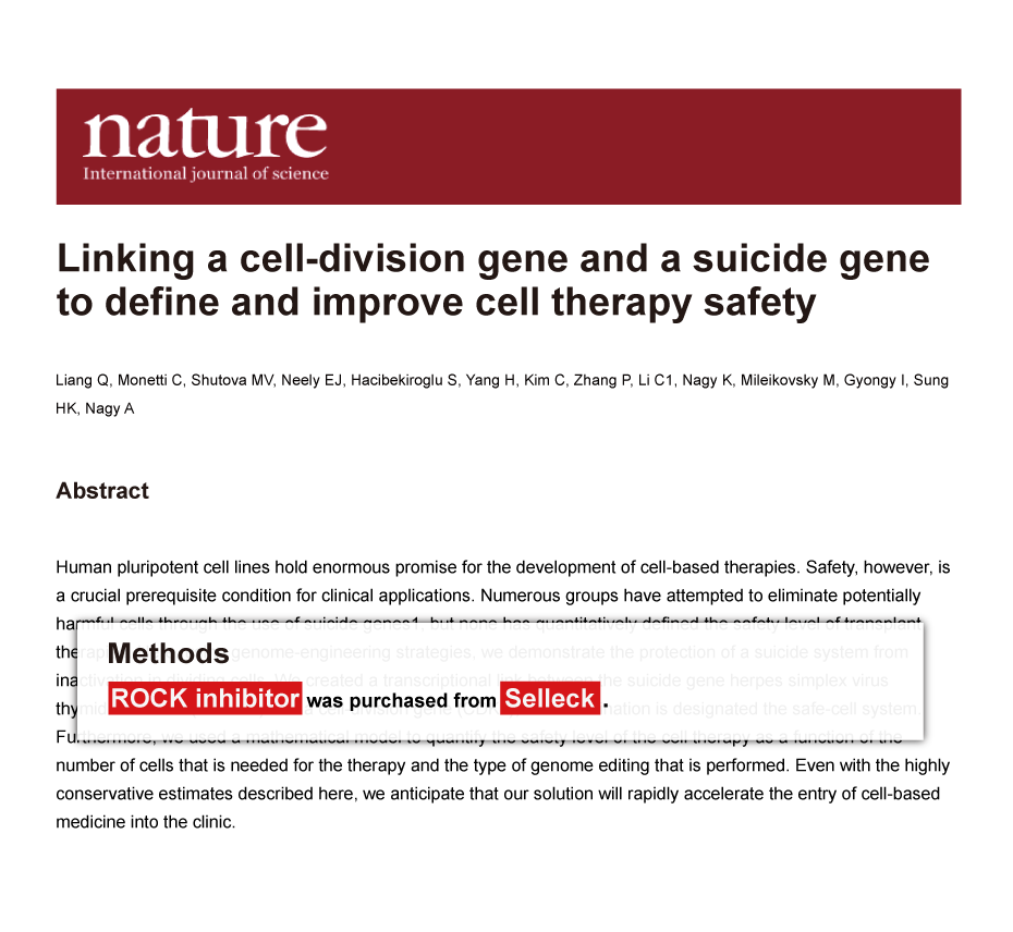 ROCK Inhibition | ROCK Inhibitor Review