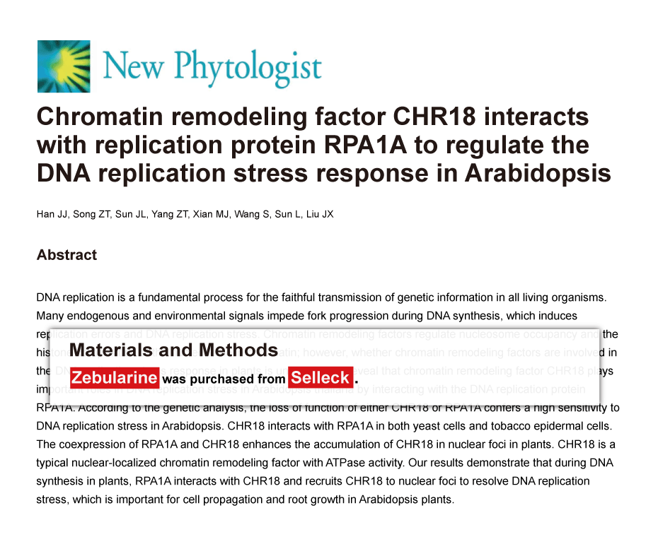 Zebularine (NSC 309132) | ≥99%(HPLC) | Selleck | DNA Methyltransferase ...