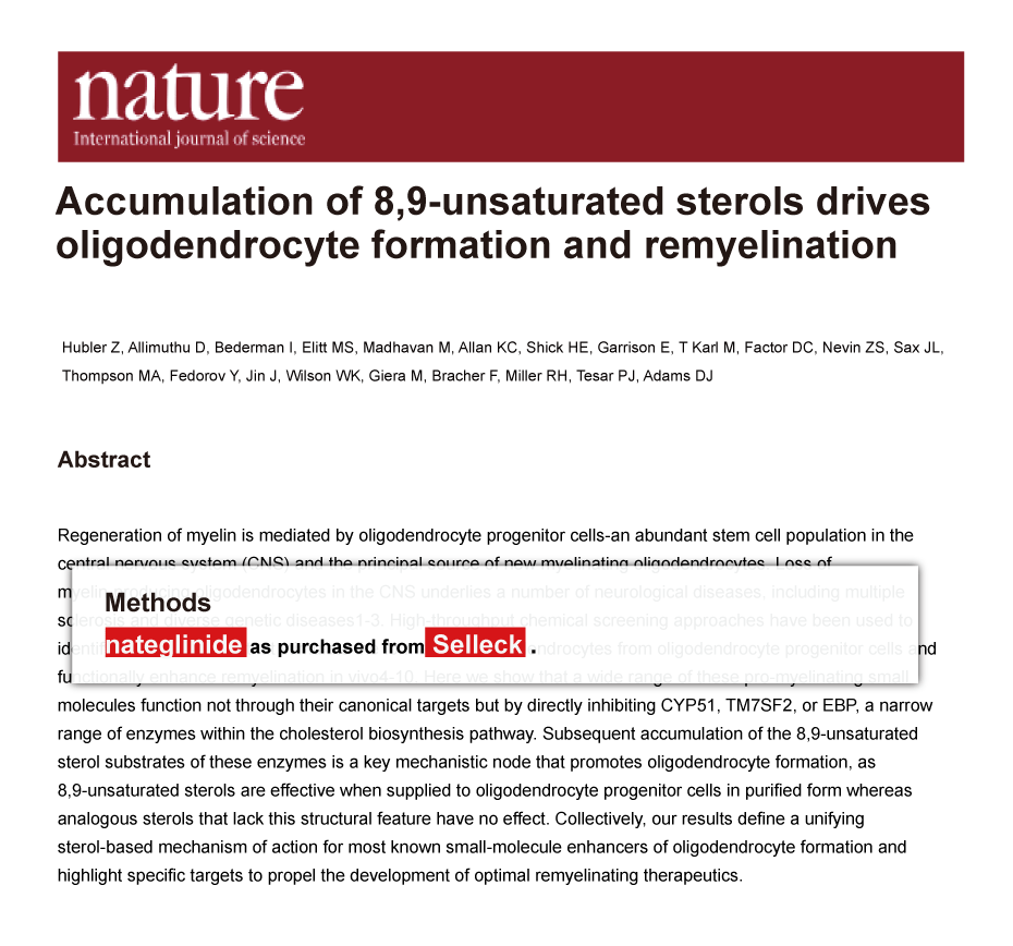 Potassium Channel | K Channel