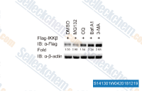 Bafilomycin A1(Baf-A1) | Proton Pump inhibitor | Read Reviews & Product ...