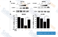 CX-5461 | DNA/RNA Synthesis inhibitor | Read Reviews & Product Use ...