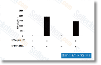 Sapanisertib (INK 128, MLN0128,TAK-228) | mTOR inhibitor | Read Reviews ...