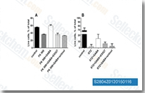 Sirtinol | Sirtuin inhibitor | Read Reviews & Product Use Citations