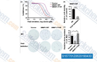 Tie2 kinase inhibitor | Tie-2 inhibitor | Read Reviews & Product Use ...