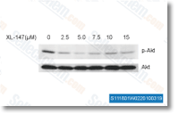 XL147 analogue | ≥99%(HPLC) | Selleck | PI3K inhibitor QCFile