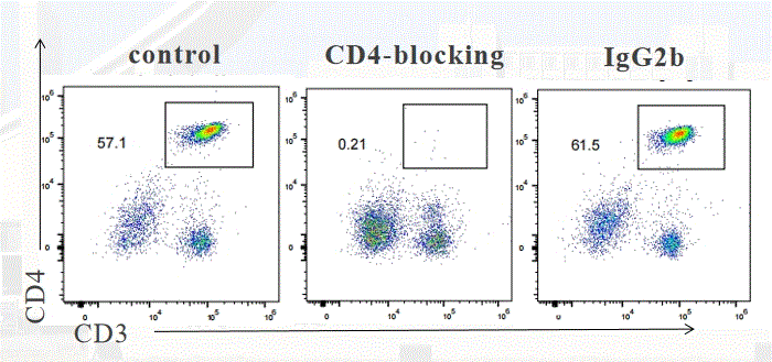 Invivo Functional Antibodies | Selleckchem.com