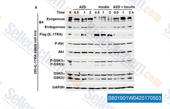 Capivasertib (AZD5363) | Akt inhibitor | Read Reviews & Product Use ...