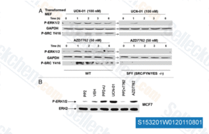 AZD7762 | Chk inhibitor | Read Reviews & Product Use Citations