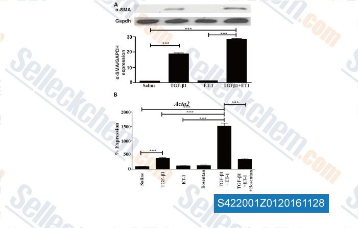 ETA Receptor | Endothelin Receptor Signaling