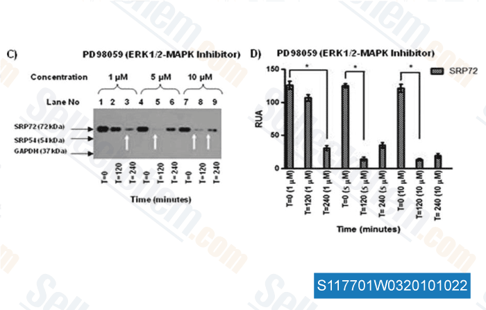 PD98059 | MEK inhibitor | Read Reviews & Product Use Citations