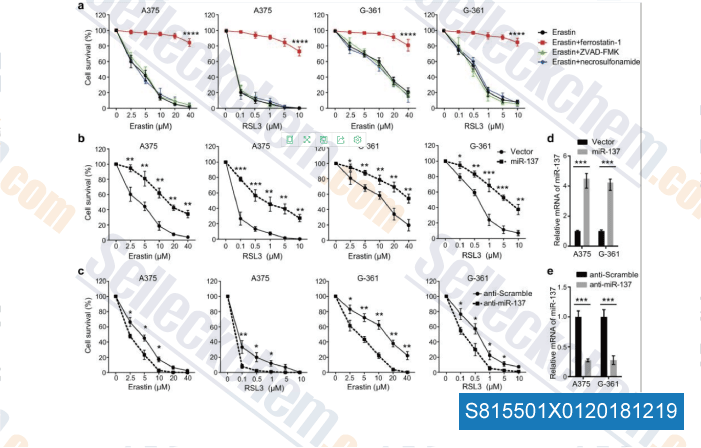 RSL3 | Ferroptosis activator | Read Reviews & Product Use Citations