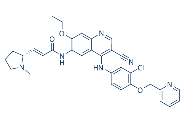 Pyrotinib (SHR-1258) | ≥99%(HPLC) | Selleck | EGFR inhibitor